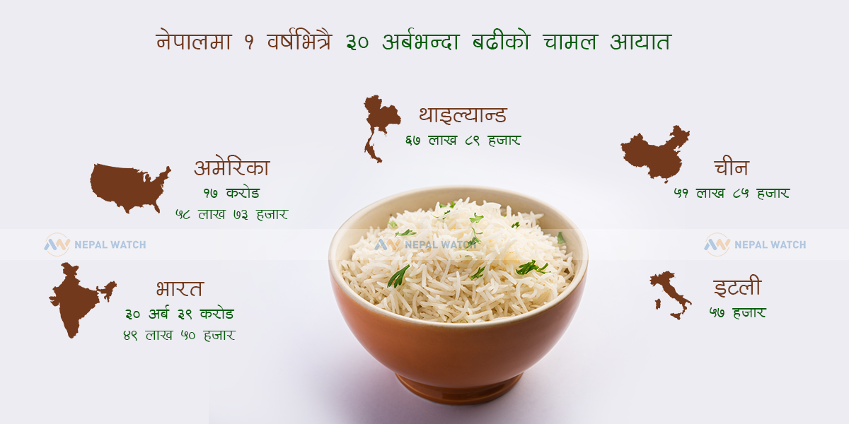 एक वर्ष : चामल आयातमा नेपालको खर्च ३० अर्ब – NepalWatch